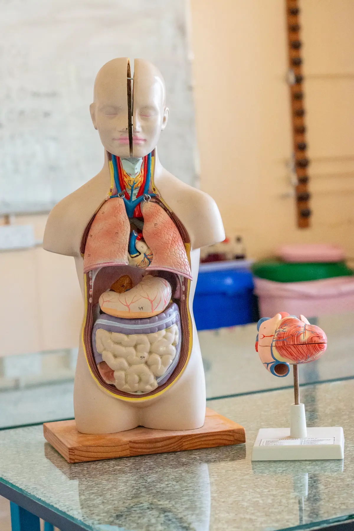 Hilbright Science College